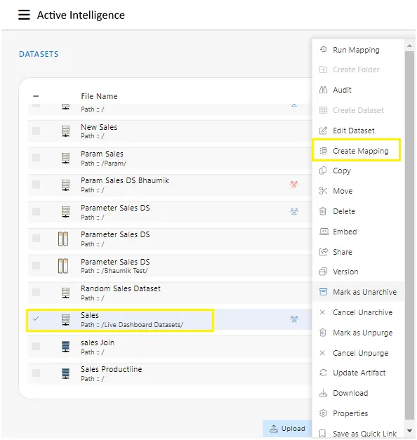 Create Dataset Mapping | AIV